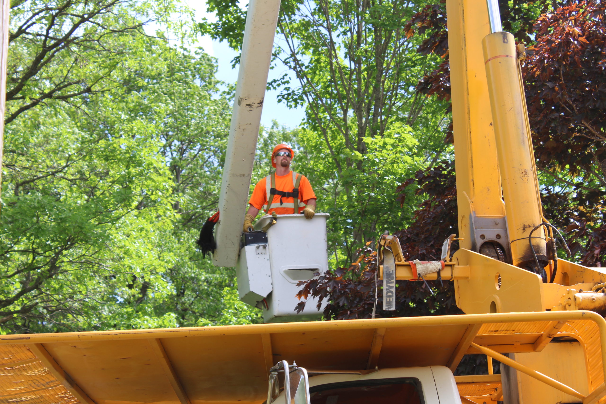 Vegetation Management - Lake Region Electric Cooperative