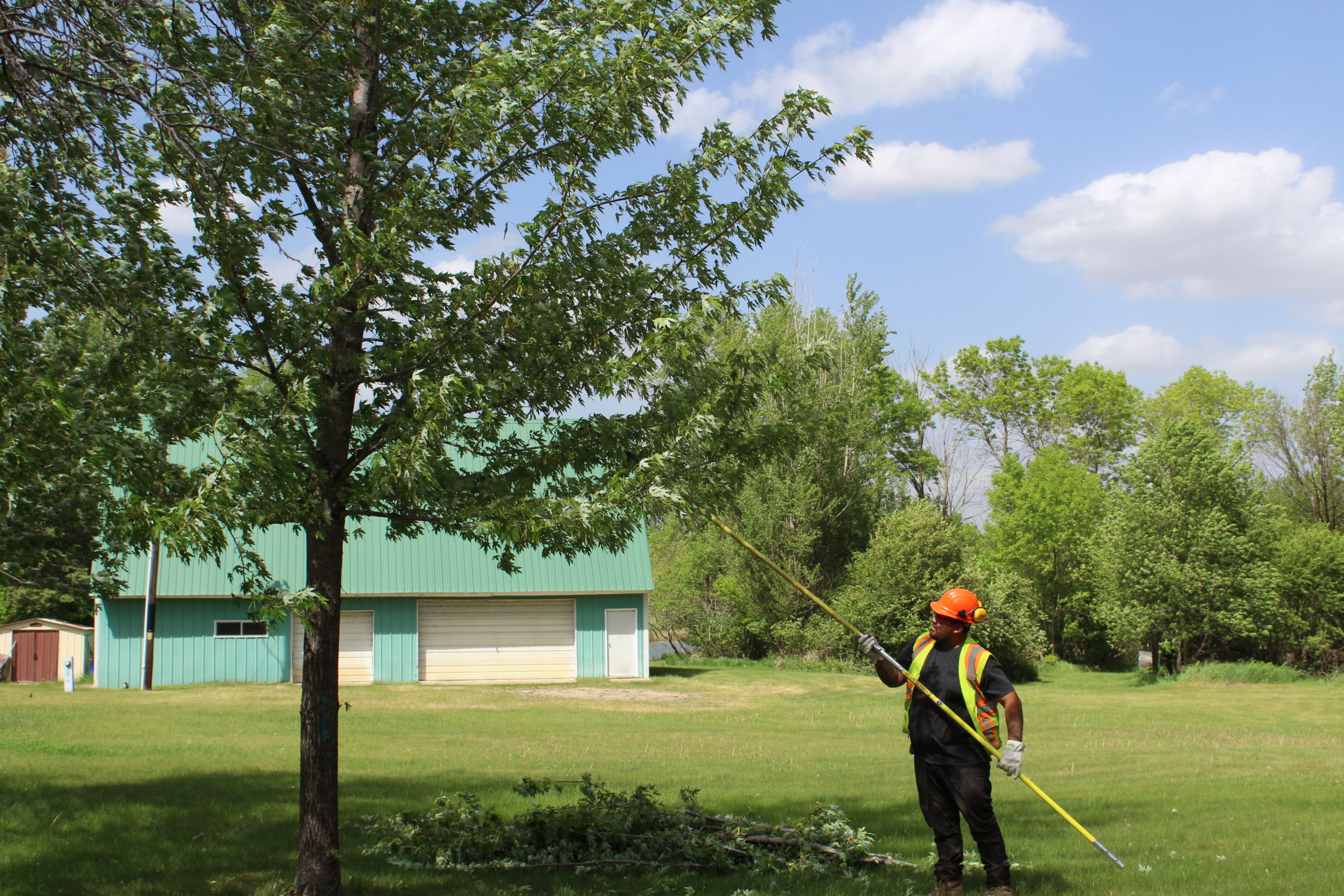 Vegetation Management - Lake Region Electric Cooperative